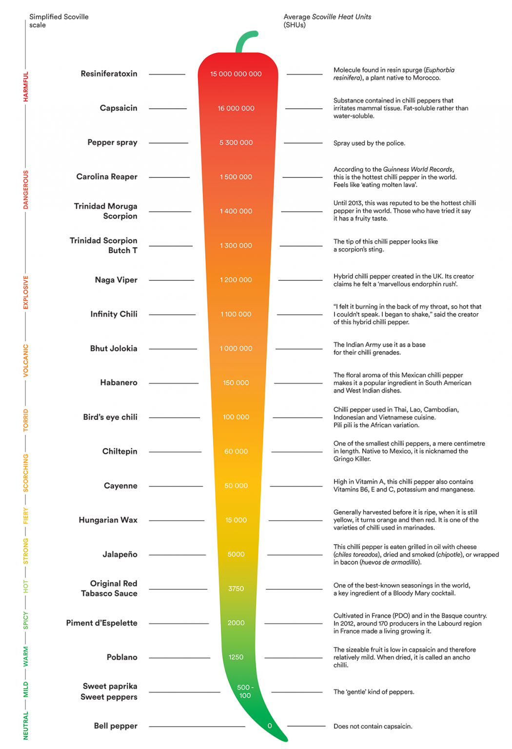 Everything You Need to Know About Spicy Sauce